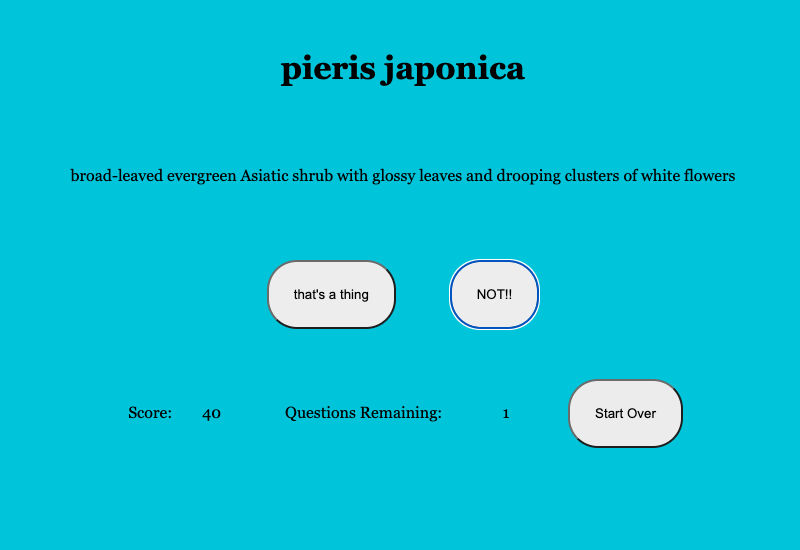 Casey Voss - Full Stack Developer